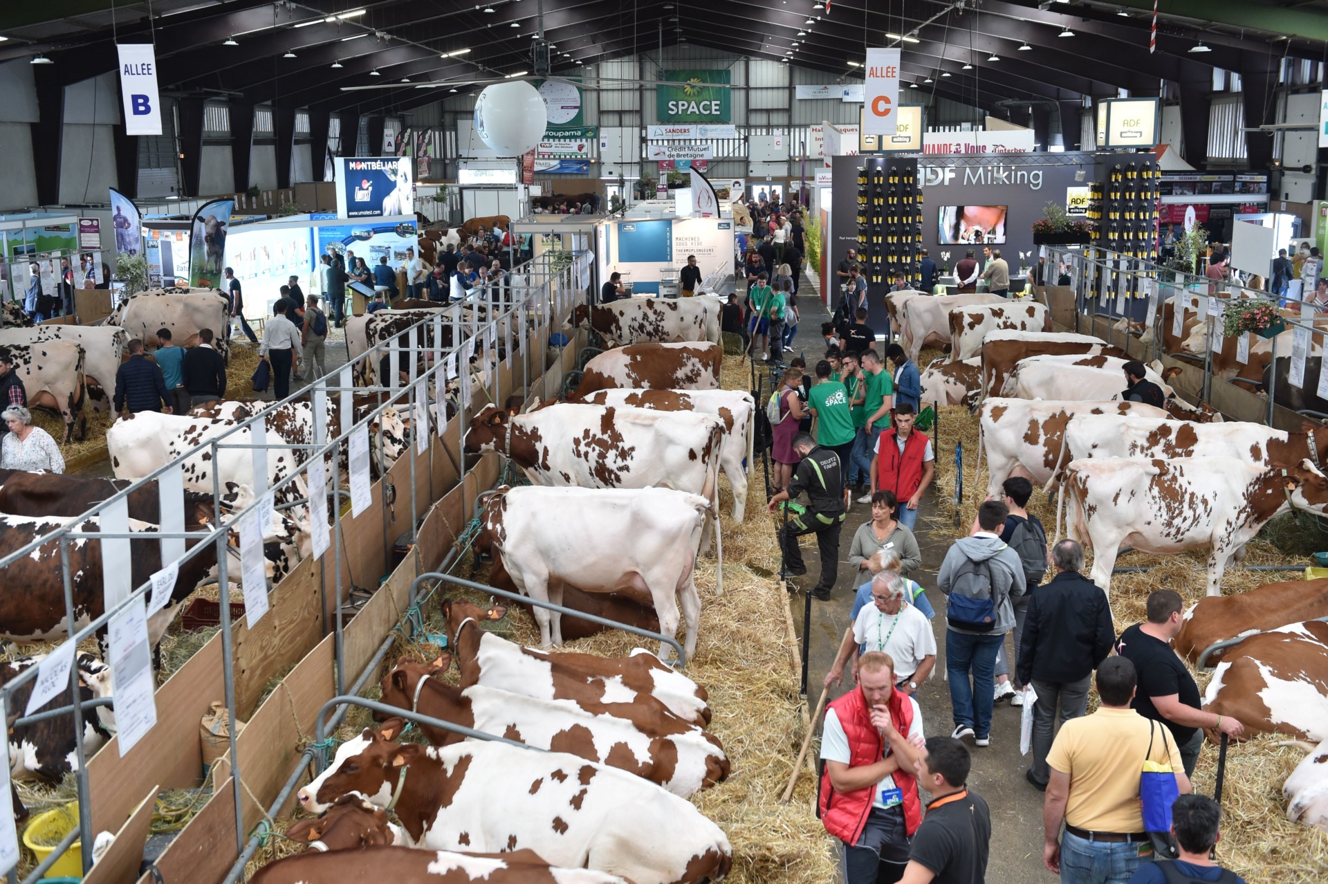 Nos espaces | Hall 1 | Rennes parc expo
